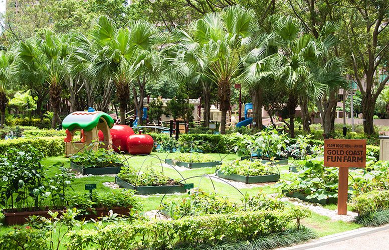 Gold Coast Fun Farm - Farm Together | Sino Group